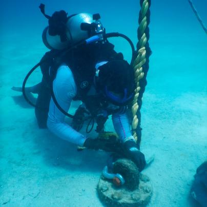 Other types of permits | gbrmpa